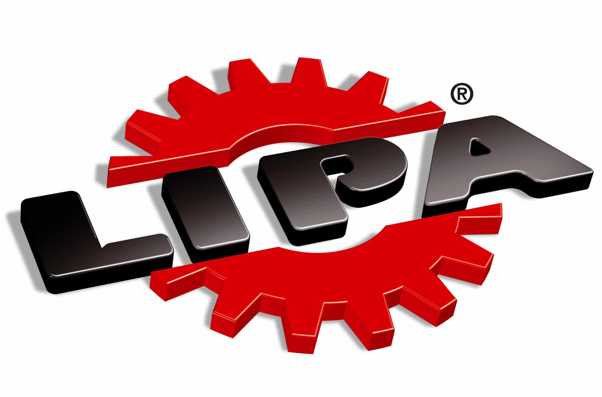 Logo Lipa 3D – Needham Ag – Store